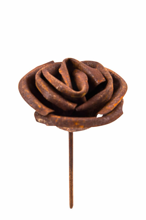 Bilder Rose mit Stab