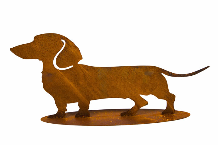 Bilder Hund Dackel Waldi